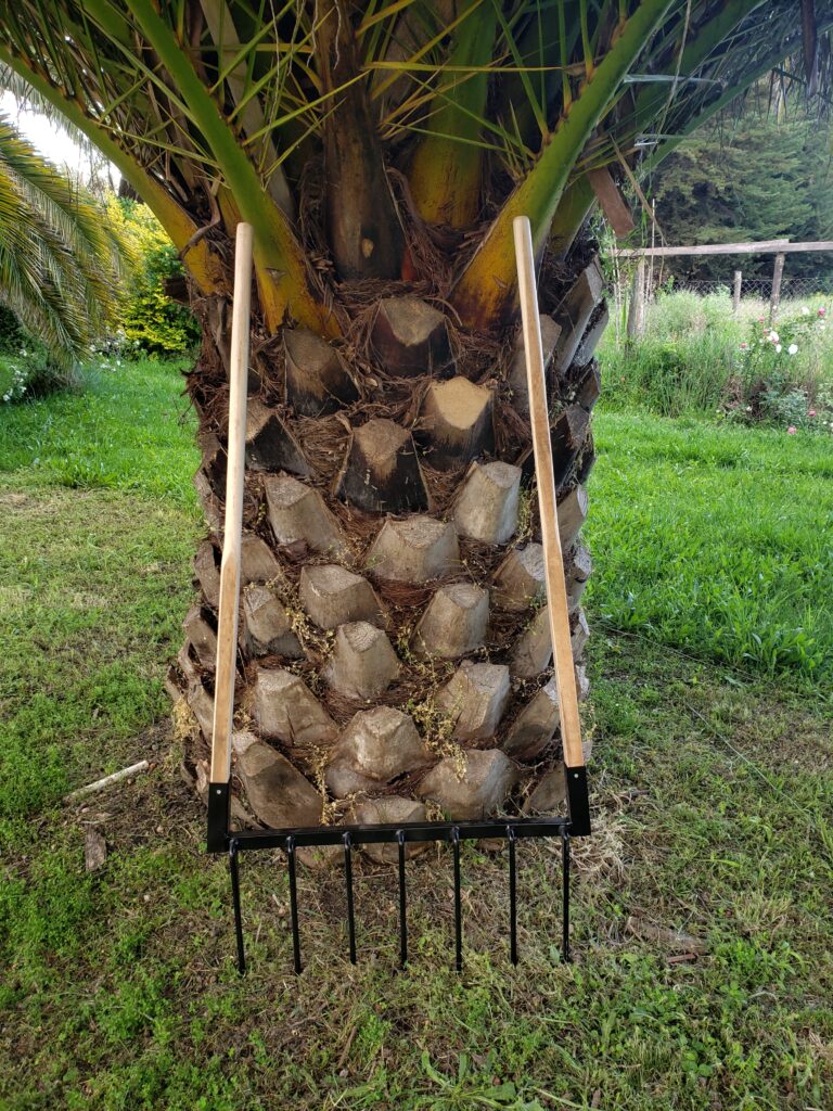 Mango Trasplantador de Puerros – Bima Para tu Huerta